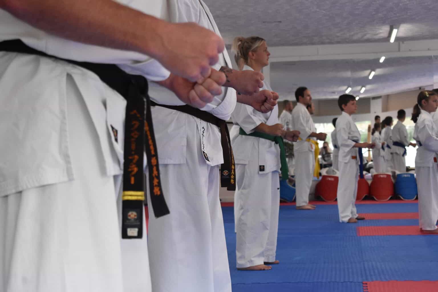 Kyokushin karate dojo class training times location map